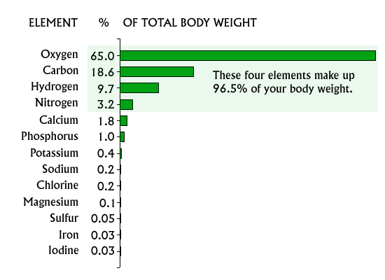 Chemical Elements Of The Human Body ASU Ask A Biologist