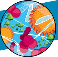 Teaching Kids about Germs | ASU - Ask A Biologist