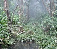 The Effect of Climate on Disease and Income | ASU - Ask A Biologist