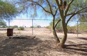 Beehive VR 360 | ASU - Ask A Biologist