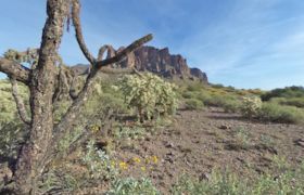 Desert Biome VR 360 | ASU - Ask A Biologist