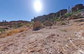 Desert Biome Virtual Tour 360 | Ask A Biologist
