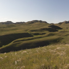 Grassland Biome Virtual Tour 360 | Ask A Biologist