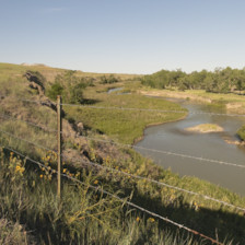 Grassland Biome Virtual Tour 360 | Ask A Biologist