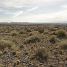Grassland Biome Virtual Tour 360 | Ask A Biologist