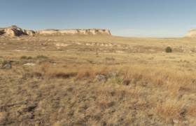 Grassland Biome Virtual Tour 360 | Ask A Biologist