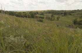 Grassland Biome Virtual Tour 360 | Ask A Biologist