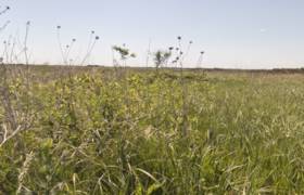 Grassland Biome Virtual Tour 360 | Ask A Biologist