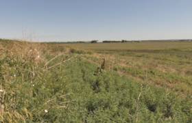 Grassland Biome Virtual Tour 360 | Ask A Biologist
