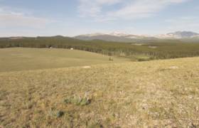 Grassland Biome Virtual Tour 360 | Ask A Biologist