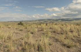 Grassland Biome Virtual Tour 360 | Ask A Biologist