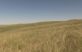 Grassland Biome Virtual Tour 360 | Ask A Biologist
